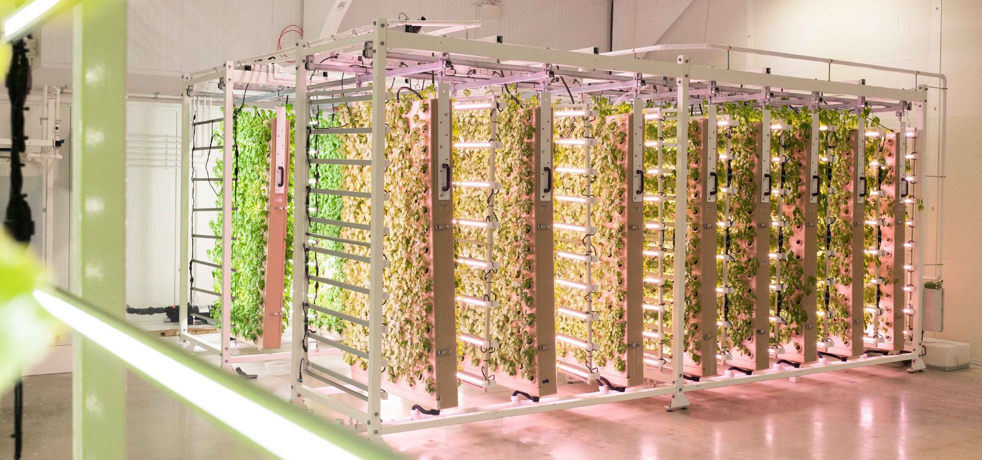 FullSphere | The Clean Food Company